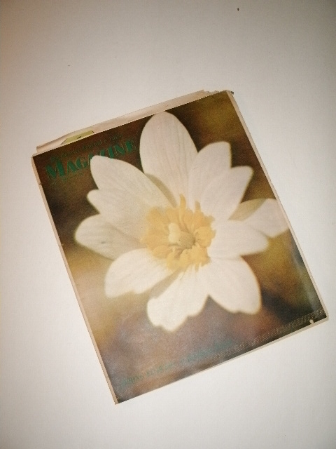 Louisville Courier Journal Magazine, 1969. Gun Control! NRA! Spring ...