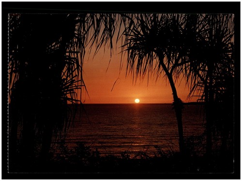 Postcard RPPC - Darwin, Northern Territory, N.T. | eBay Australia