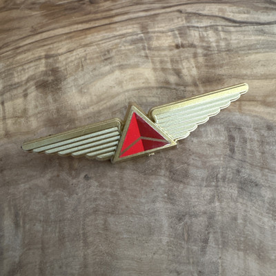Vintage Delta Airline Junior Pilot Plastic Pin Wings Badge | eBay Australia