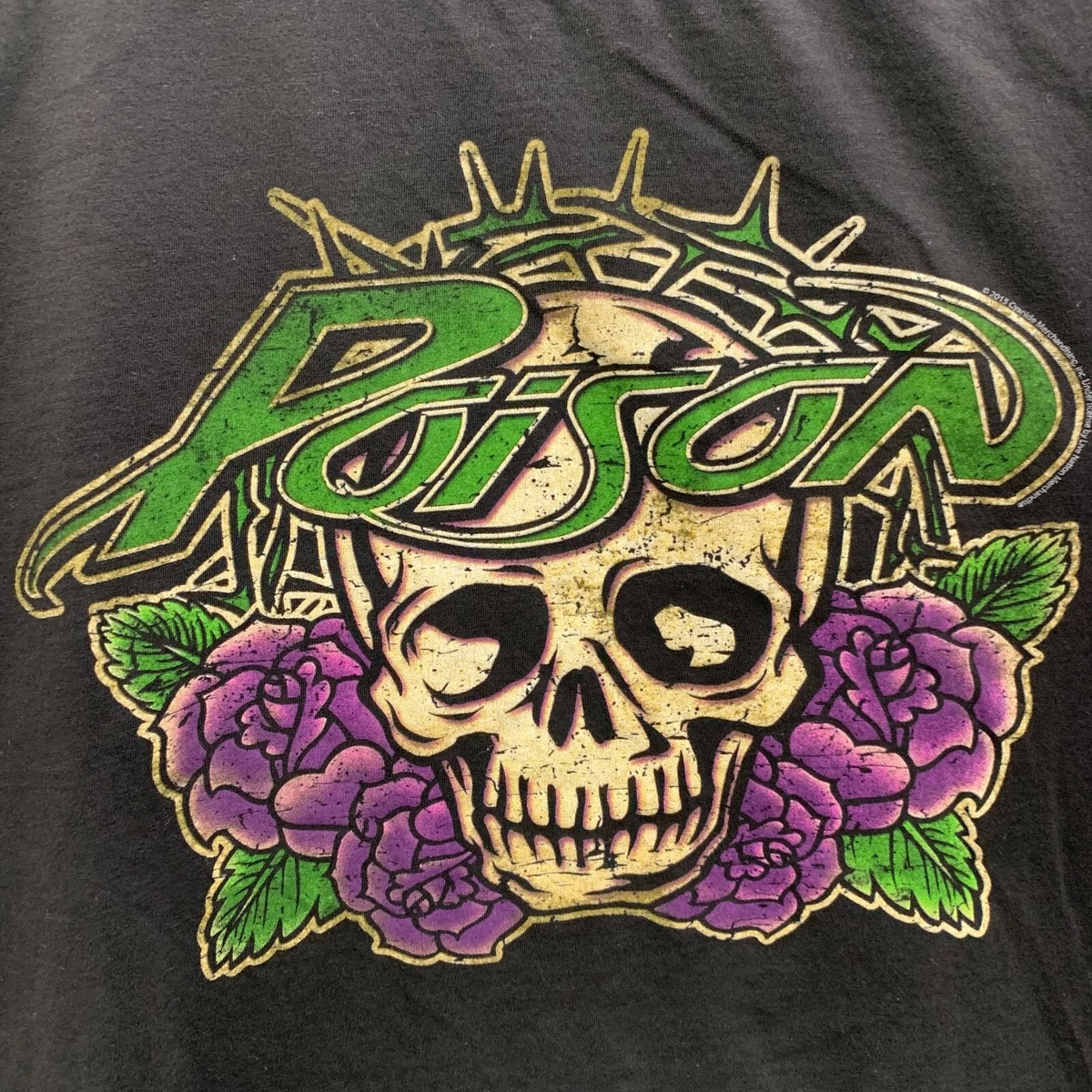 Poison Band Skull Logo