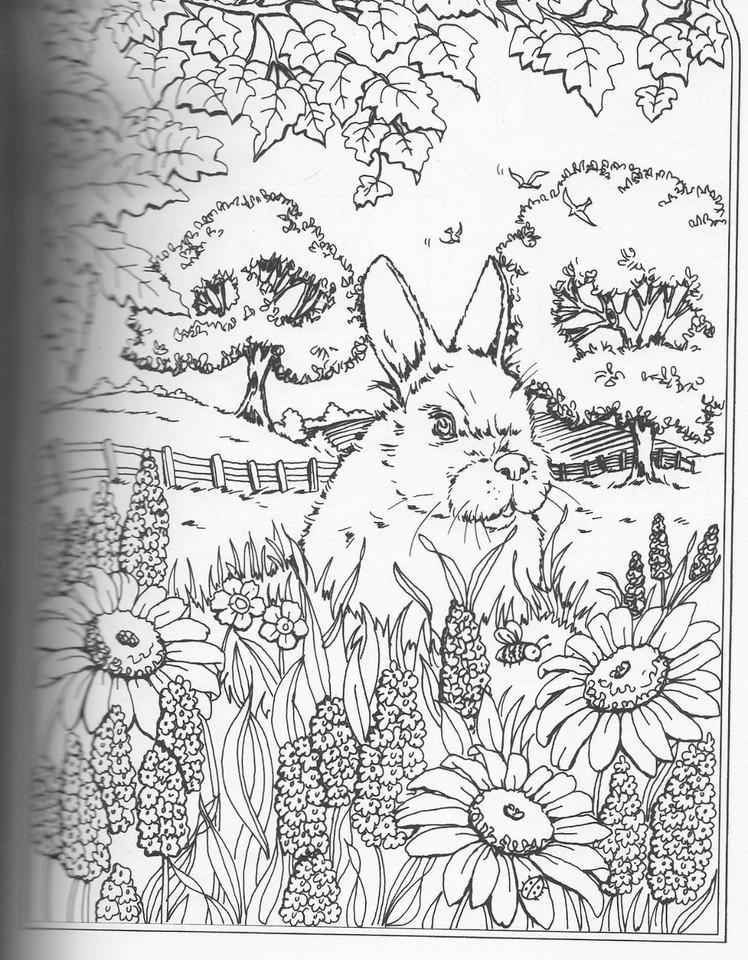 Creative Haven Coloring Bks.: Creative Haven Spring Scenes Coloring ...
