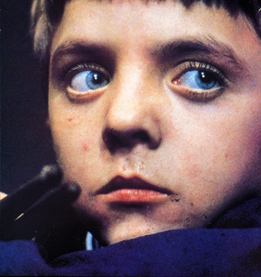 The Tin Drum (Criterion Collection) (Blu-ray) David Bennent Mario Adorf ...