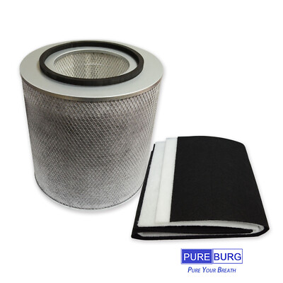 PUREBURG HEPA Filter Compatible with Austin Healthmate FR400,HM400 air ...