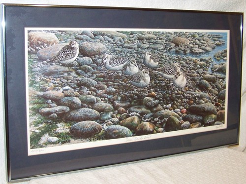 ED NEWBOLD SIGNED BIRDS PRINT | eBay