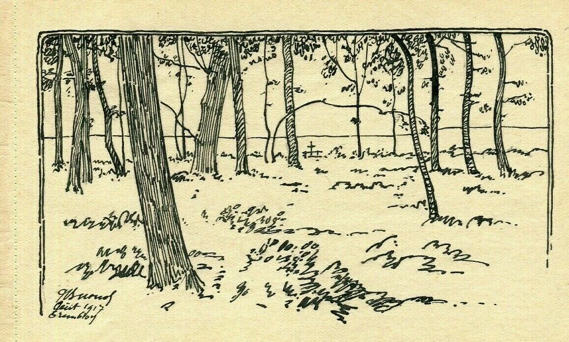 Forest Illustration Ink