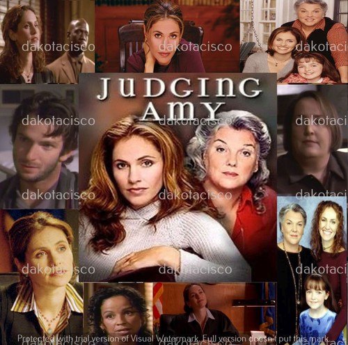 Judging Amy - Complete Series | eBay