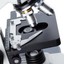 AmScope 40X-2500X Binocular LED Compound Microscope Siedentopf Head ...