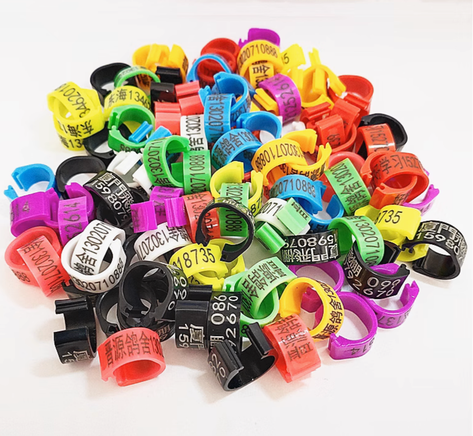 Customerized 100Pcs Birds Rings 8mm Leg Bands Pigeon Parrot Clip Rings ...