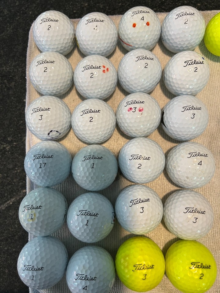 25 Titleist ProV1 AAA Used Golf Balls Pro V1 | eBay
