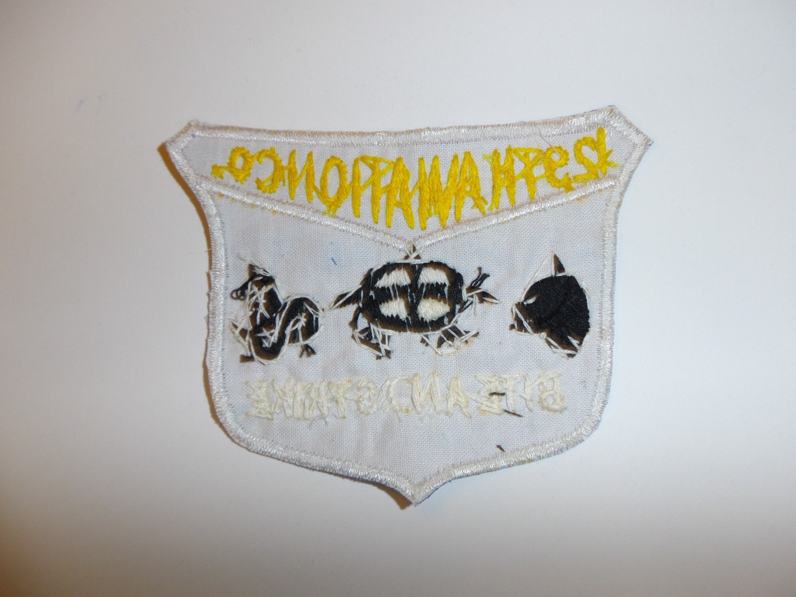 e1037 Vietnam US Army 129th Aviation Co Company Bite And Strike IR13E ...