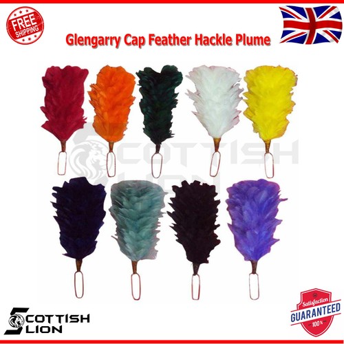 Glengarry Cap Feather Hackle/Army Plume Feather Hackle 6"/Balmoral Cap ...