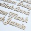 Script names, letters or words. Wooden 3.2mm thick High Quality MDF ...