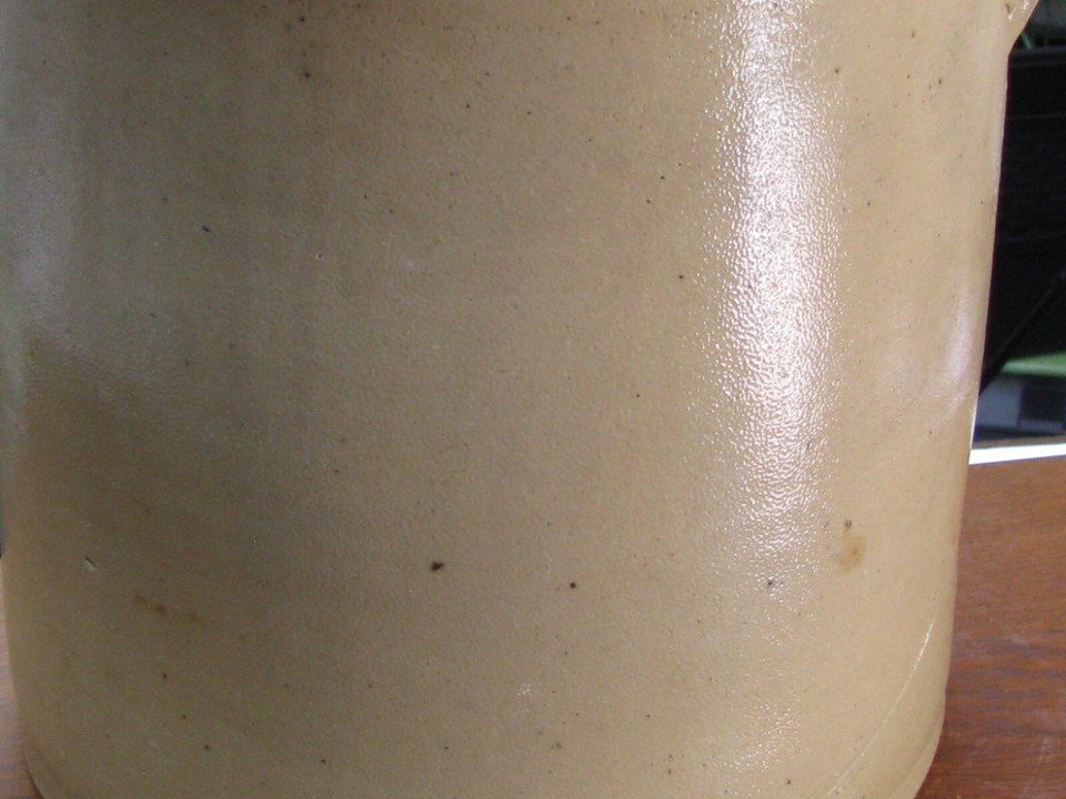 VINTAGE RED WING MINNESOTA STONEWARE 4GL SALT GLAZE CROCK W/DOWN LEAF ...