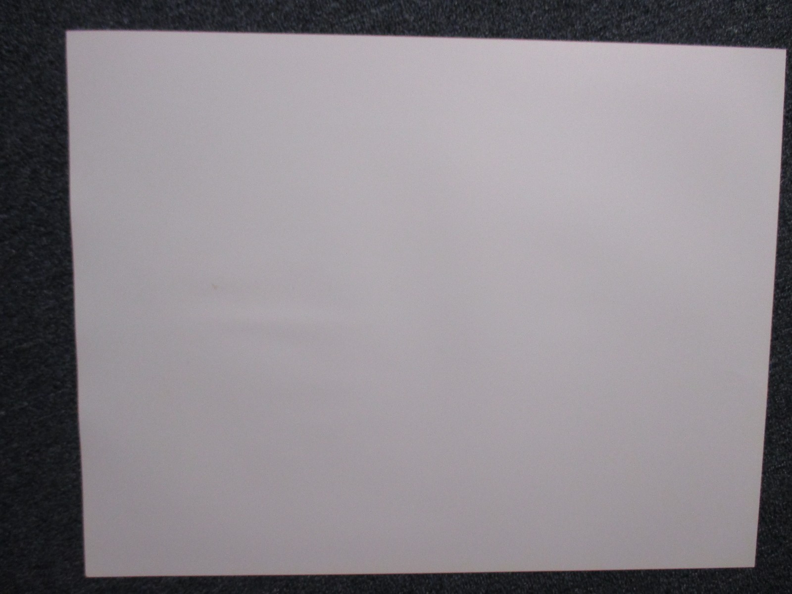 ED WESTBROOK Signed No. 266 Limited Edition 1991 20 x 26 Wildlife Art ...