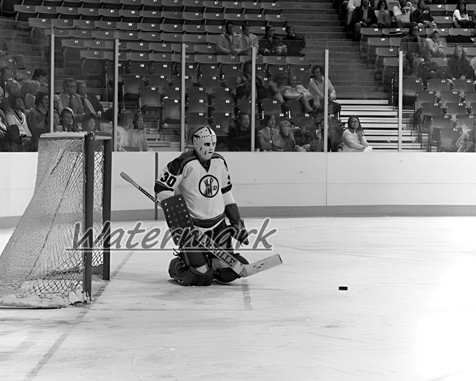 1974 - 75 Kansas City Scouts Goalie Bill McKenzie Game Action 8 X 10 ...
