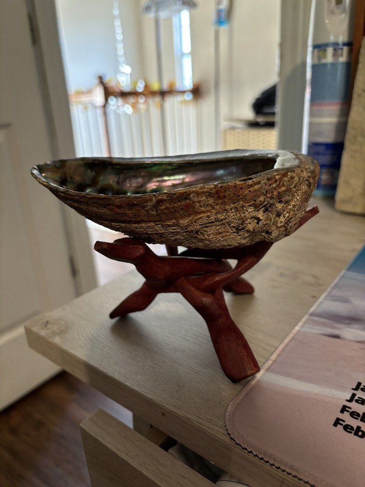 JUMBO Abalone Shell 6 - 7" (Smudging Burning Sage Sticks Display Sea ...