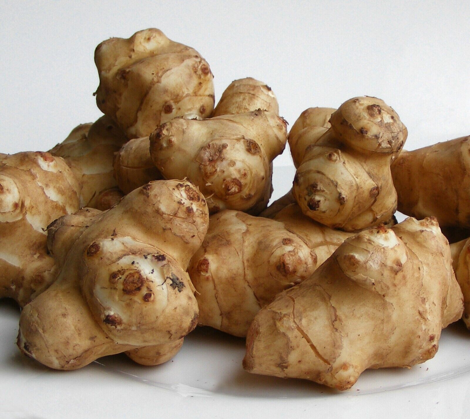 Jerusalem Artichoke Tubers 1/2-pound Sunchoke Healthy Organic Survival Garden | eBay