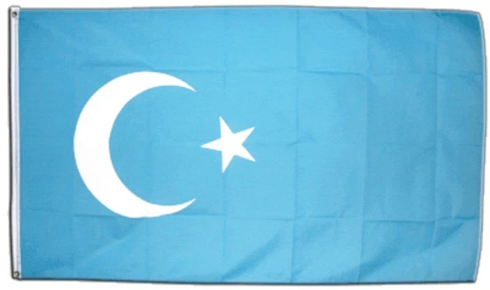 Xinjiang Flag