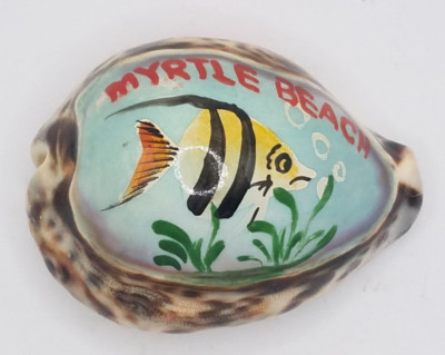 Handpainted Tiger Cowrie Shell Myrtle Beach Souvenir Cypraea Tigris Lrg ...