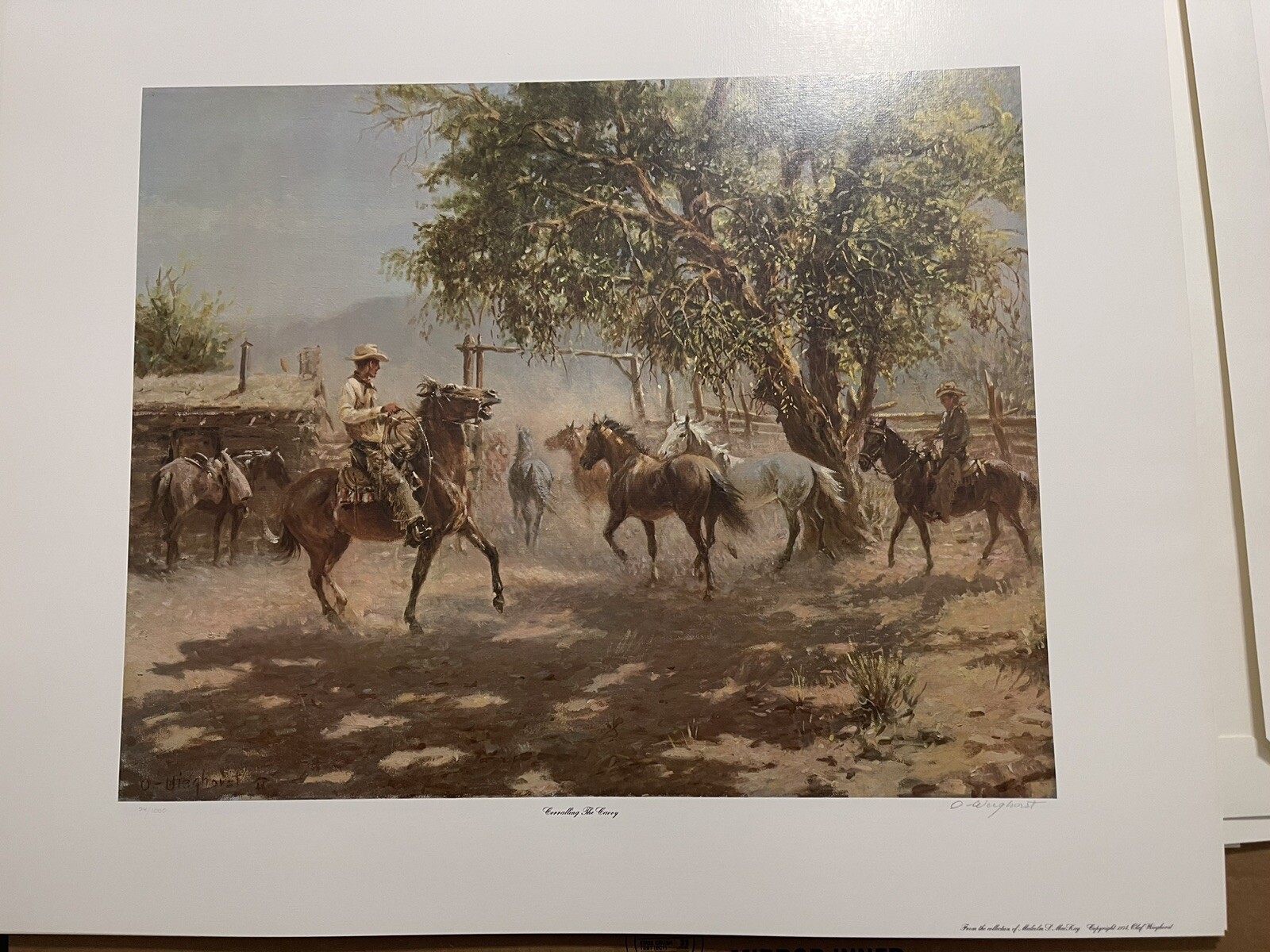 Olaf Wieghorst “Corralling The Cavvy” Limited Edition Print 24/1000 | eBay
