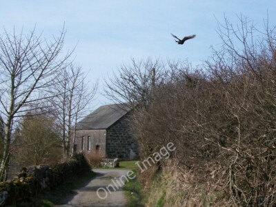Photo 6x4 A startled pheasant near Bryn Engan chapel Llecheiddior ...