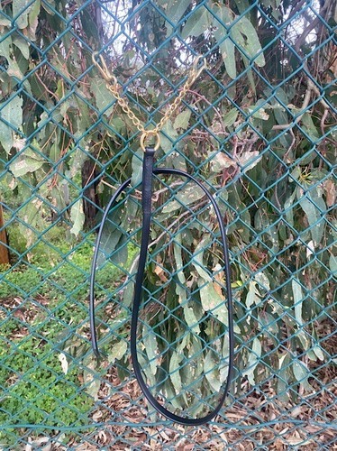 Horse Solid Brass Walsall Argosy Lead Chain & Leather Lead In Black Or Brown | eBay Australia