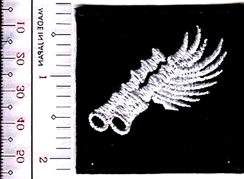 US Civil Air Patrol CAP Air Force Auxiliary Missing Aircraft Search ...