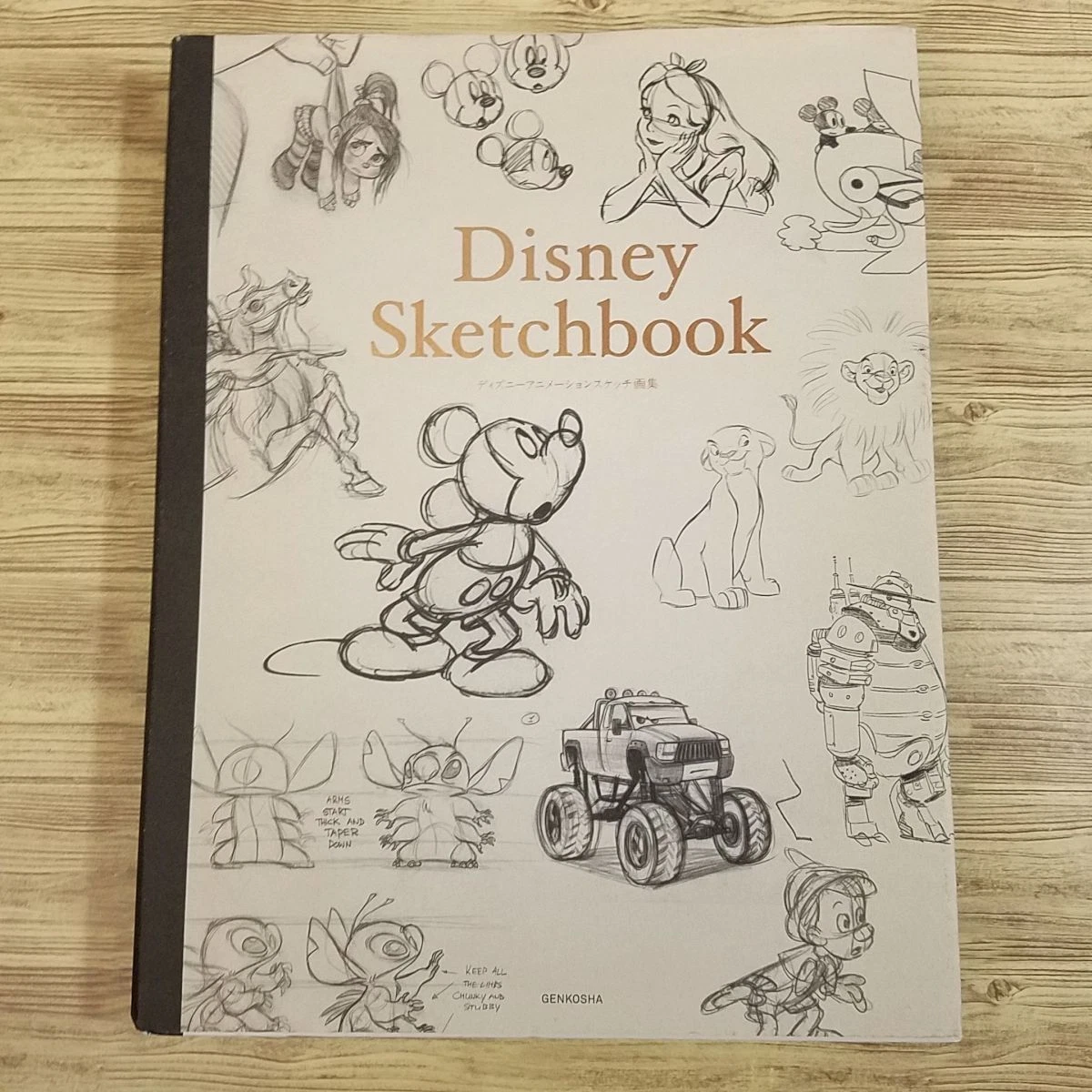 Disney Character Rough Sketches