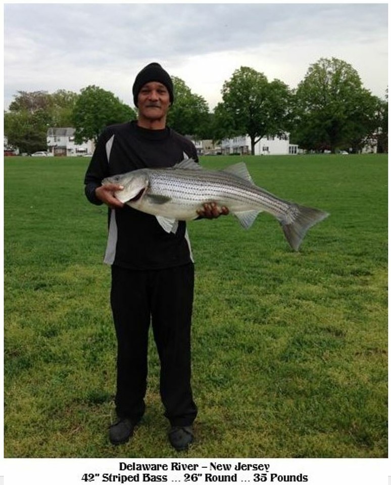 5 Fish Finder Leader ( Circle ) Surf Rigs Striper Striped Bass Catfish ...