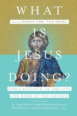 Edwin Chr. Van What Is Jesus Doing? – God`s Activity in the Life an ...