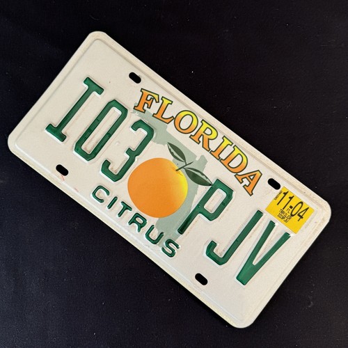 Florida Cirtus County License Plate 2004 Orange Sunshine State Shape ...