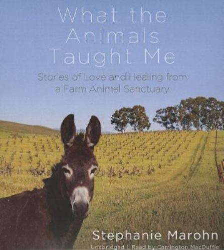 What the Animals Taught Me : Stories of Love and Healing from a Farm ...