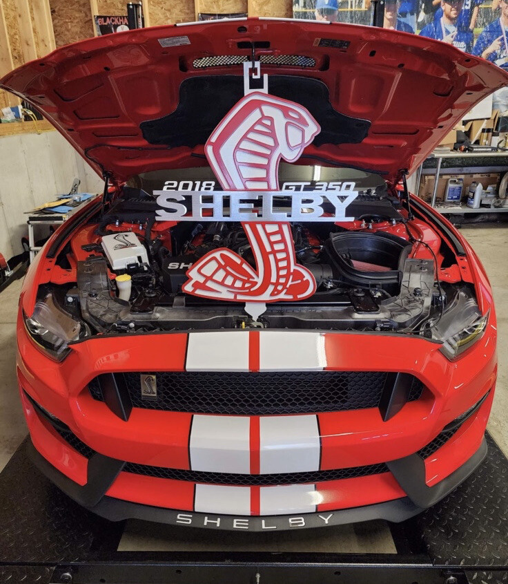 Shelby GT350 Mustang Hood Prop CANDY RED&BLACK Powder Coated ...