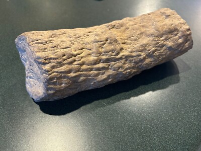 Large Stigmaria Fossil Tree Root Aprox 9” Long, Found In Green County ...