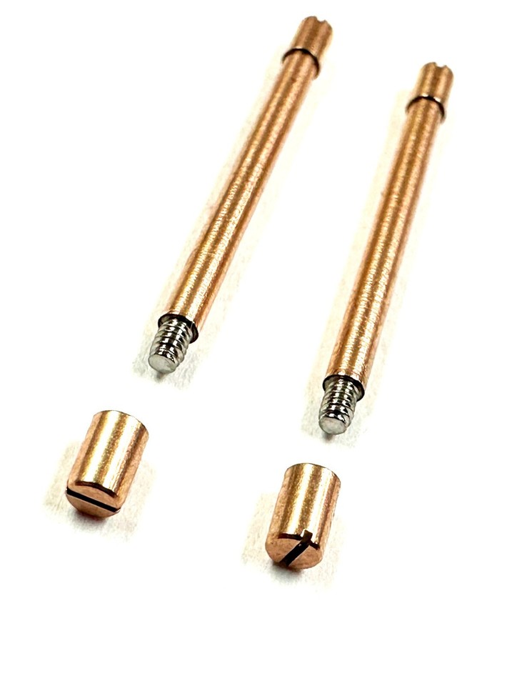Watch Band Screw lug Set of 2 for AP ROYAL OAK OFFSHORE Size (28.1x1 ...