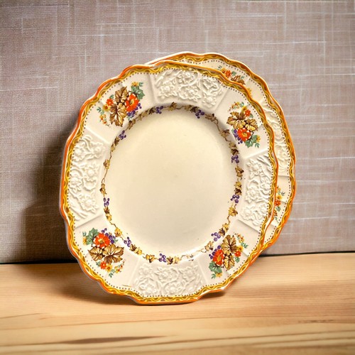 Lot of Two Vintage Myott Staffordshire England Queenston China plates ...