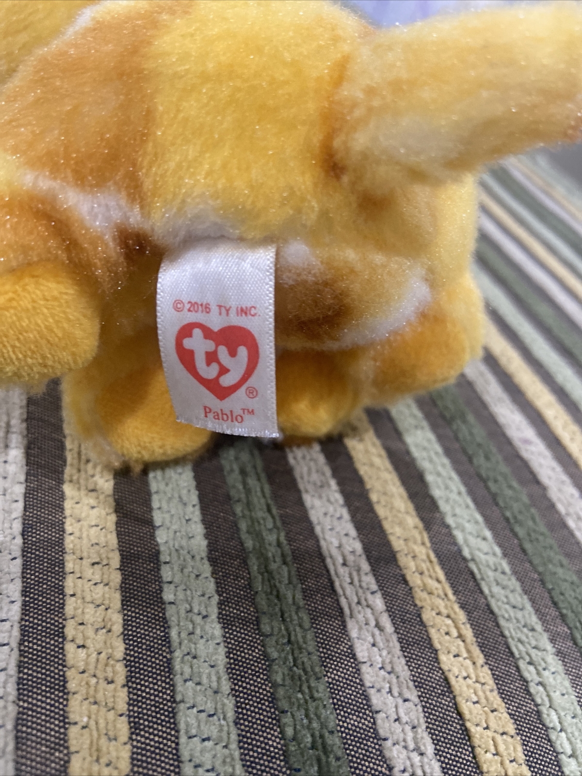 TY The Beanie Boo's Collection - Pablo the Chihuahua Plush Toy Acc598 ...