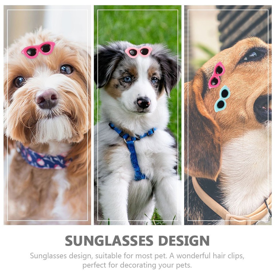 12Pcs Sunglasses Hairpins Lovely Dog Hairpins Plastic Pet Headdress Pet ...