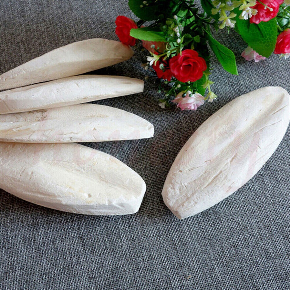 20 PCS Cuttlebone for Birds Parrot Chewing Cuttle Bone for Sharp Beaks ...