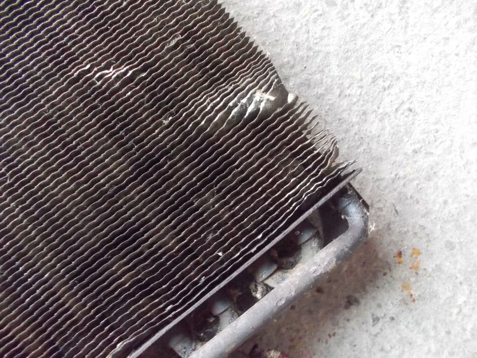 Farmall IH 806 gas tractor ORIGINAL oil cooler 301 engine motor | eBay