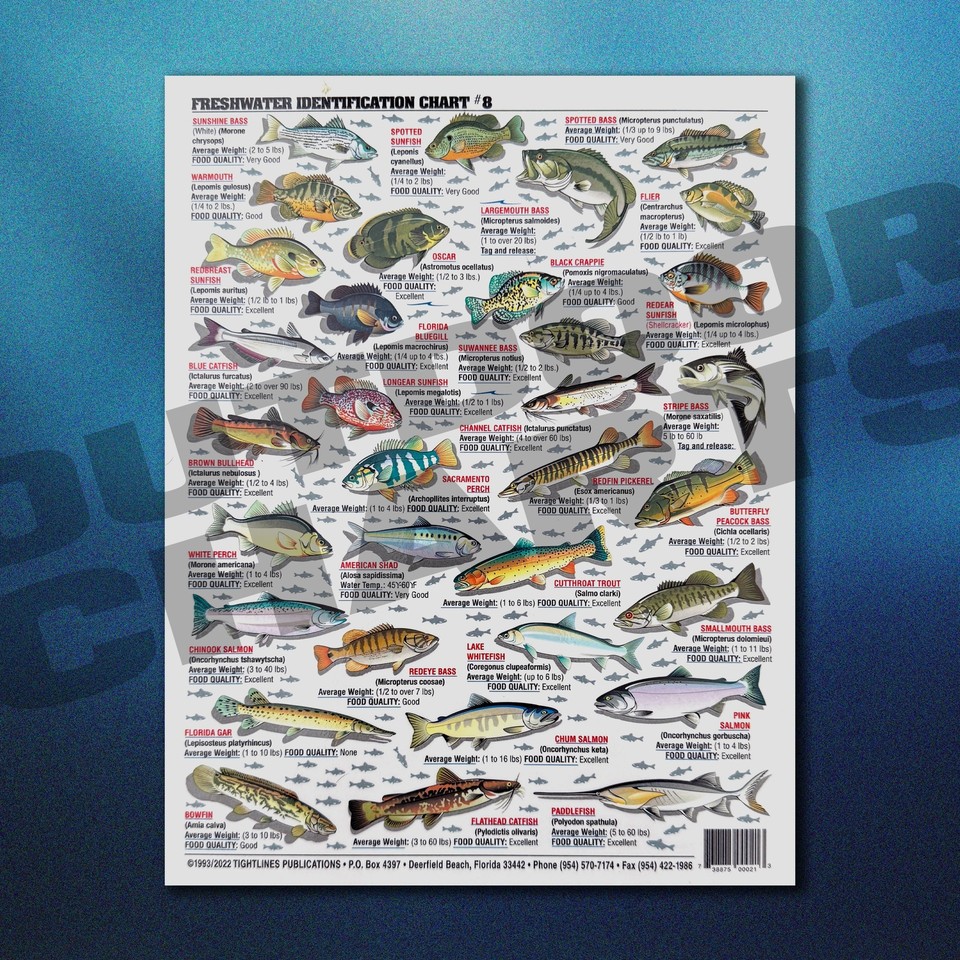 Freshwater Fish Identification Chart #8 (US, Canada, and Alaska ...