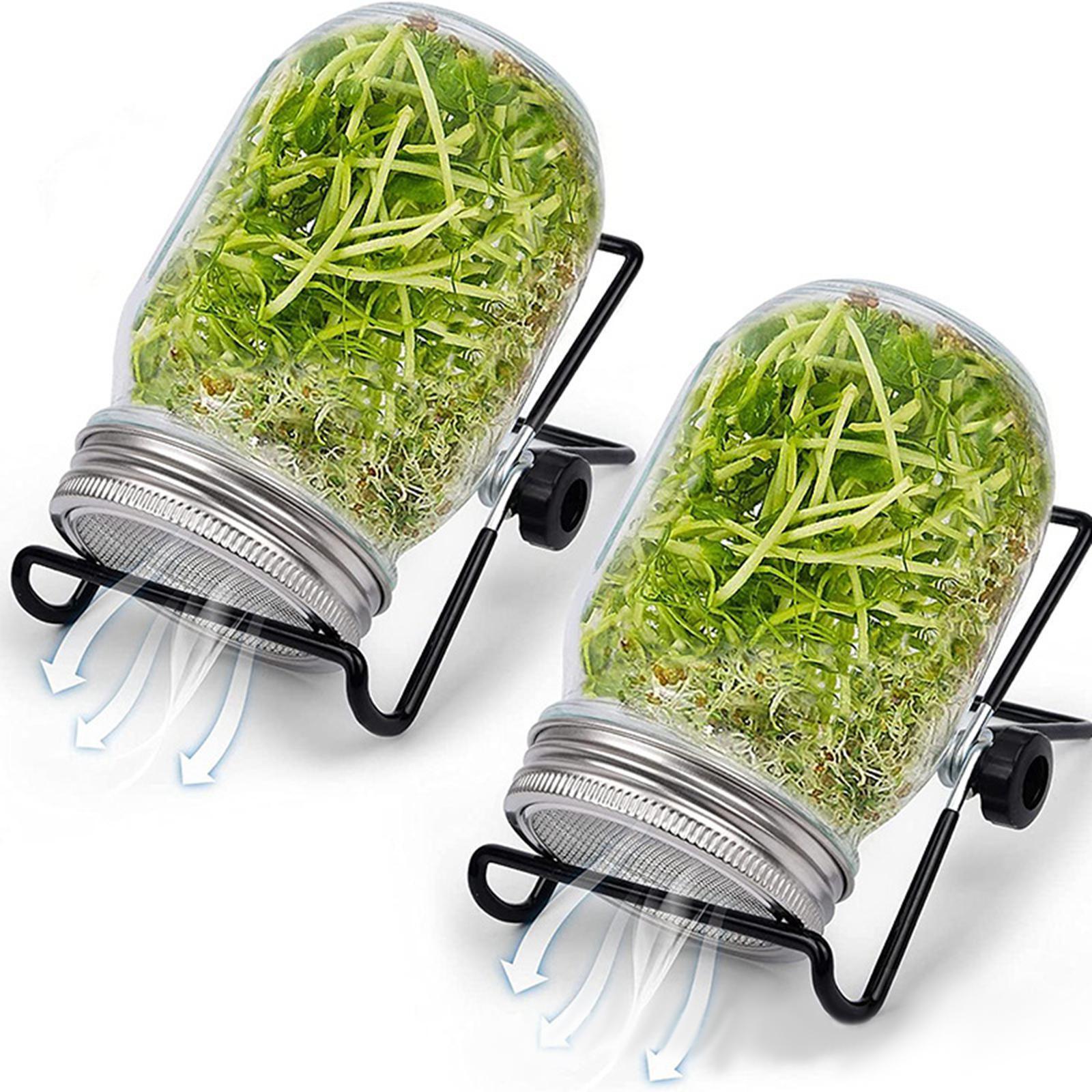 2x Jar Sprouting Lids with 2 Sprouting Stands Sprouting Jar Germination ...