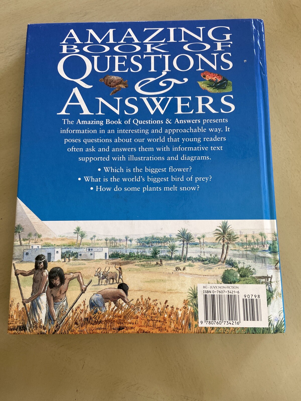 AMAZING BOOK OF QUESTIONS & ANSWERS HARDCOVER BOOK GREAT CONDITION ...