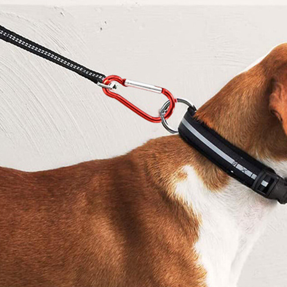 10pcs Backpack Carabiner Hiking Camping Hang Clip Hook Buckle (Red) | eBay