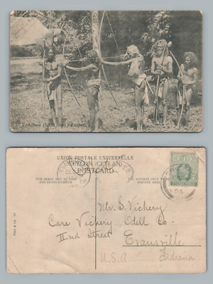Veddhas “Wild Men” Bows & Arrows—Ceylon India—Rare Antque Ethnic ...