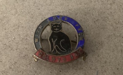 Vintage Enamel Pin Badge “With Luck From Colwyn Bay” Lucky Cat Stratton ...