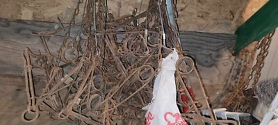 14 duke 220 conibear | eBay