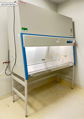 Thermo Scientific 1300 (1377) Class II A2 Biological Safety Cabinet 6 ...