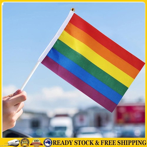 20X28cm Handheld Rainbow Flag Vivid Color for Home/Outdoor Decor ...