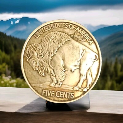 St. Labre Indian School Buffalo Head 1.1" Nickel | eBay